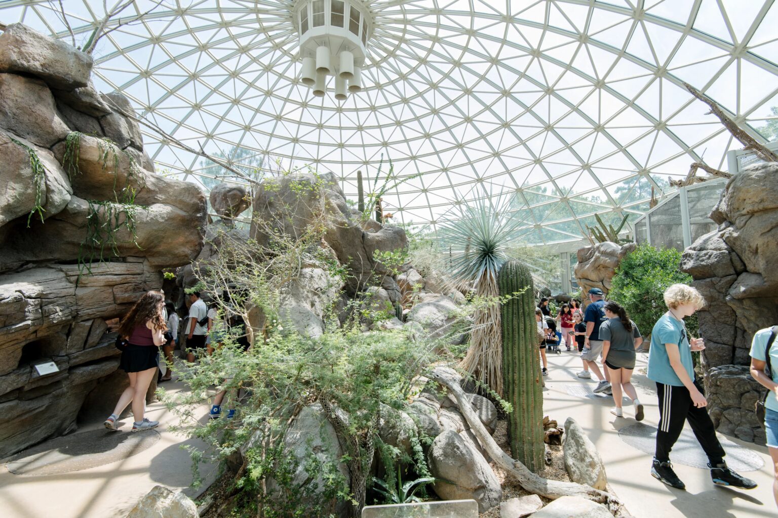 NC Zoo is the perfect day trip destination for your family!