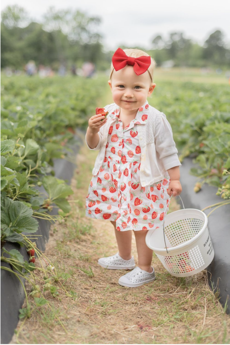 Strawberry Picking Triad NC (2026 Guide) | U-Pick in the Triad