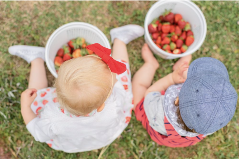 Strawberry Picking Triad NC (2026 Guide) | U-Pick in the Triad