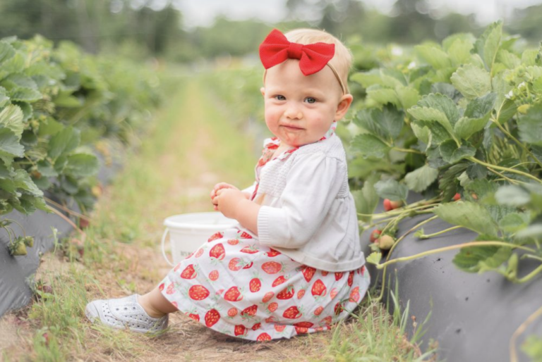 Strawberry Picking Triad NC (2026 Guide) | U-Pick in the Triad