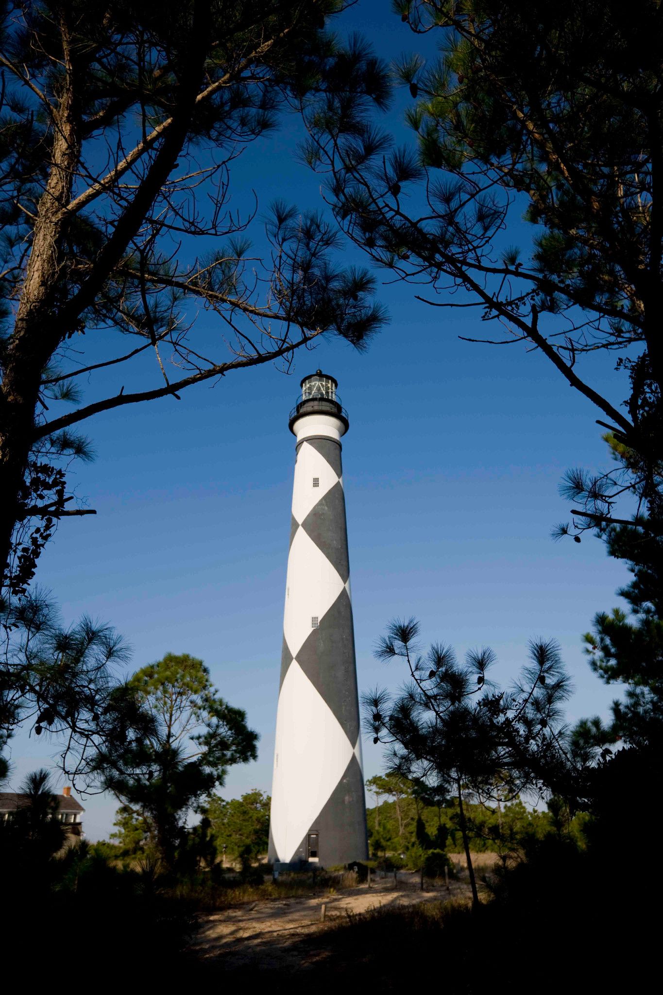 Cape Lookout Lighthouse Through Trees | Triad Moms on Main