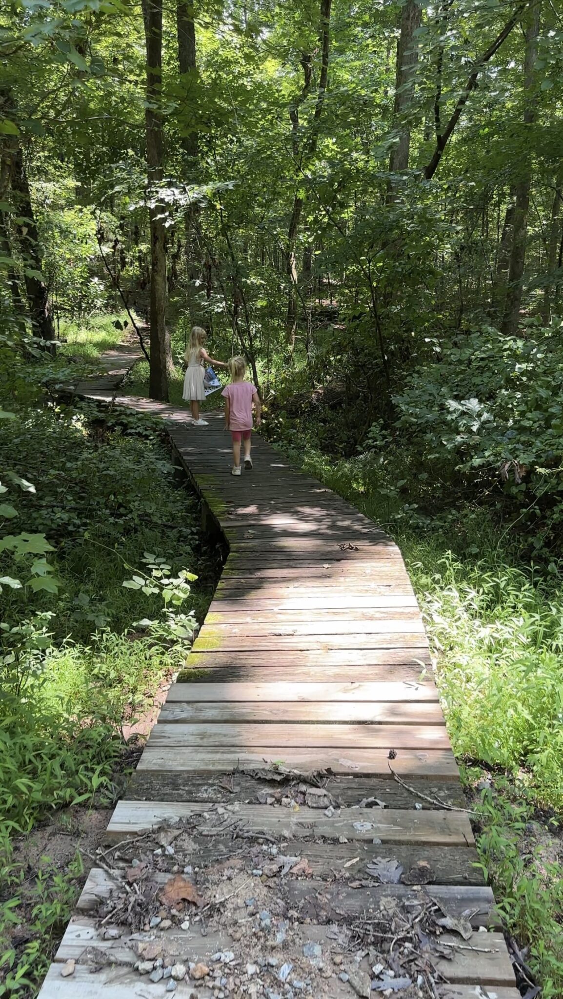 Hagan-Stone Park Pleasant Garden, NC | Triad Moms on Main | Guilford Co ...