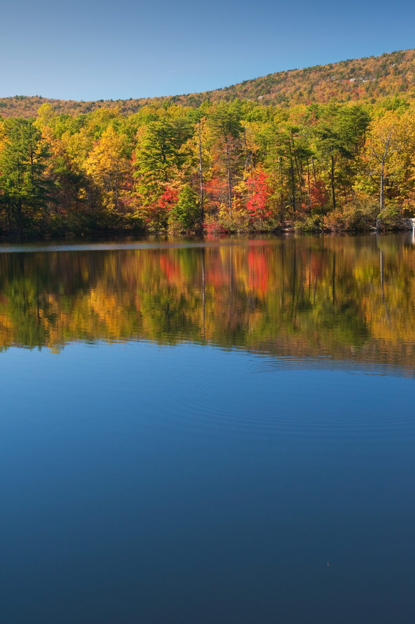 The popular (and secret spots) to see fall foliage in the NC triad ...