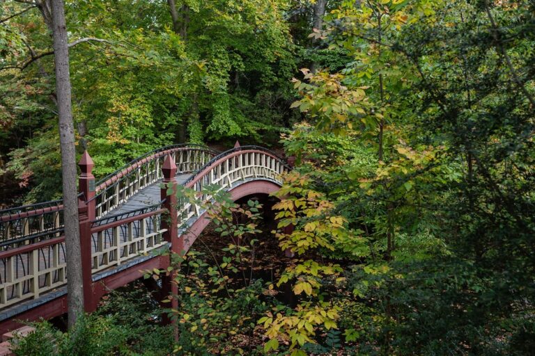25 Best Things to Do in Williamsburg VA With Kids (2026 Guide)