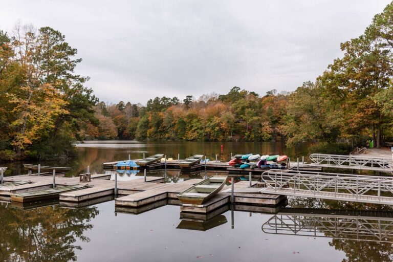 25 Best Things to Do in Williamsburg VA With Kids (2026 Guide)