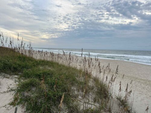 Best Things to Do in Carolina Beach with Kids (2026 Family Guide)
