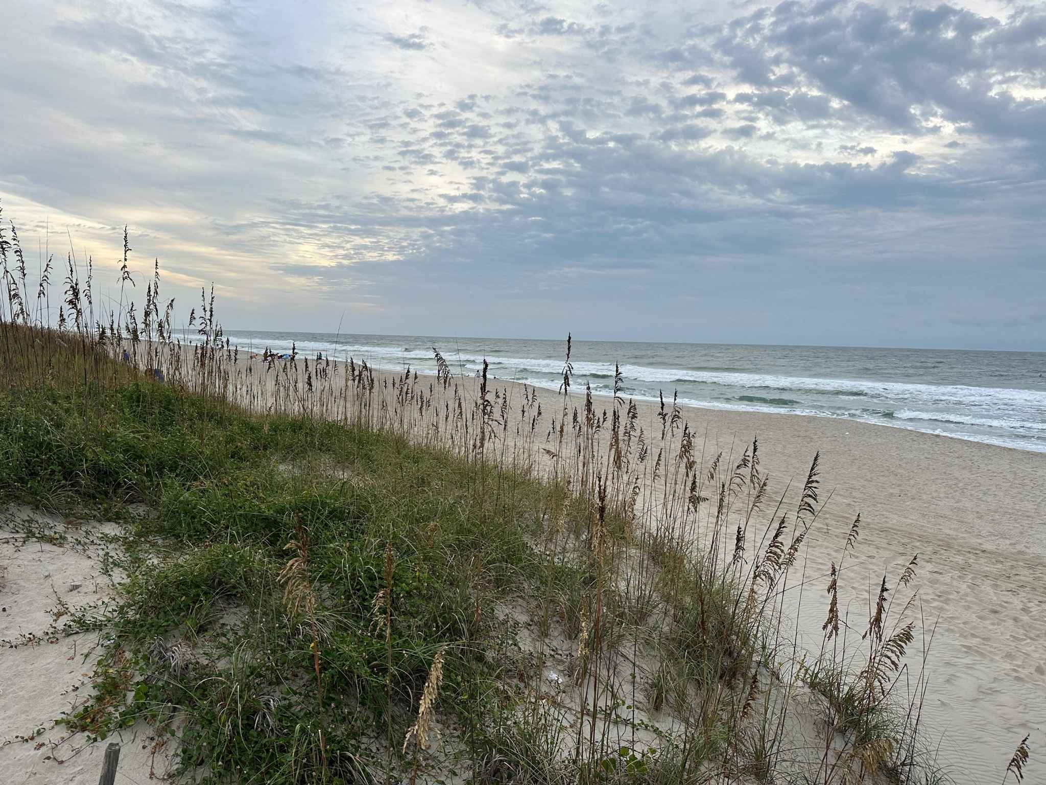 Best Things to Do in Carolina Beach with Kids (2026 Family Guide)